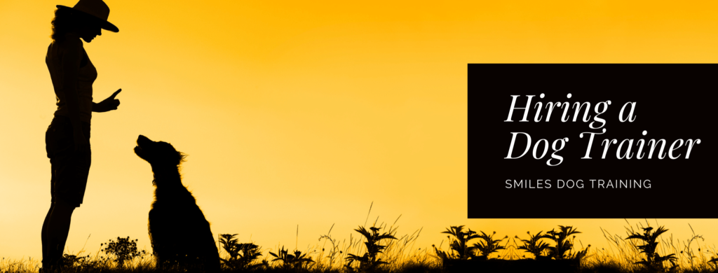 Hiring a Dog Trainer? Here's What You Need to Know - Smiles Dog Training