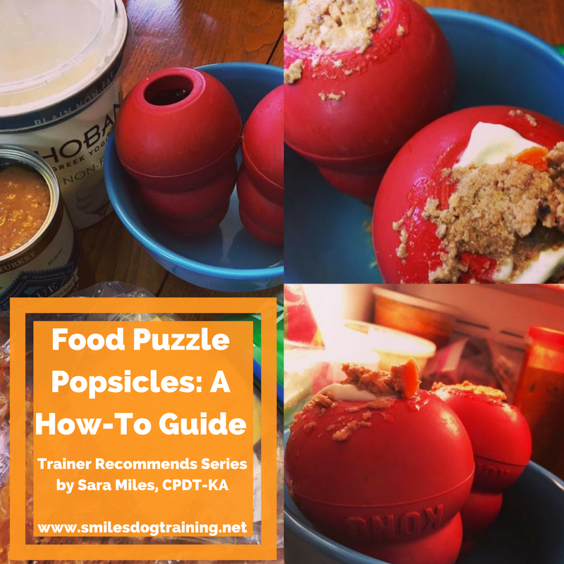 Trainer Recommends: Food Puzzle Popsicles (A How To Guide) - Smiles Dog ...