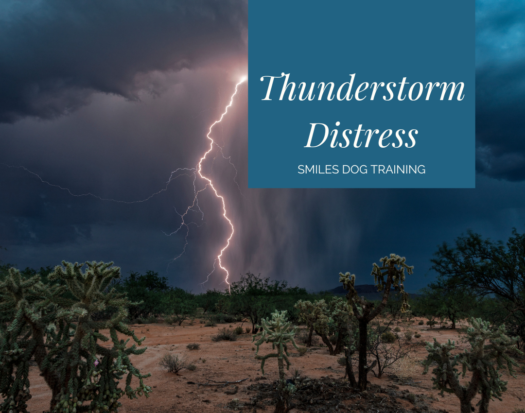 A Positive Reinforcement Approach to Thunderstorm Distress - Smiles Dog ...