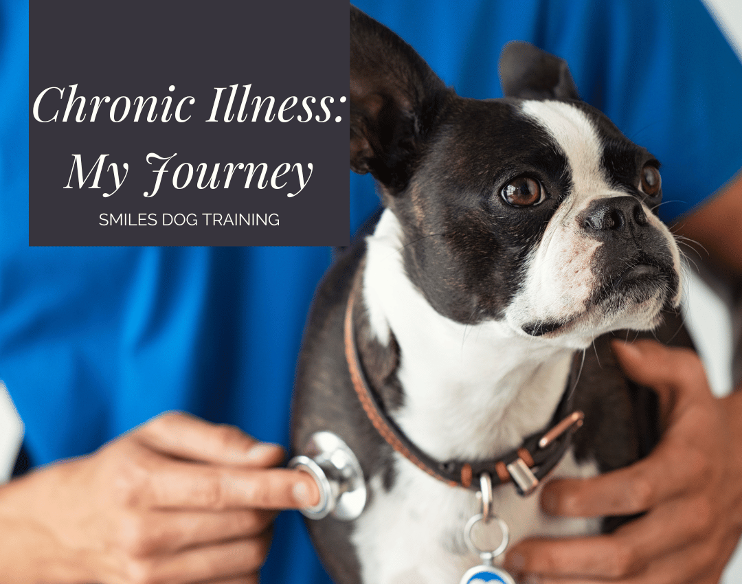 How My Chronic Illness Journey Elevated My Canine Behavior Expertise ...